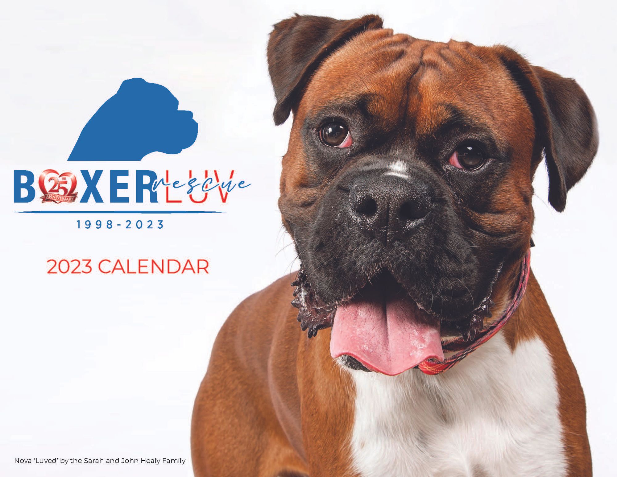 Boxer Luv Rescue, Phoenix AZ: Helping homeless dogs